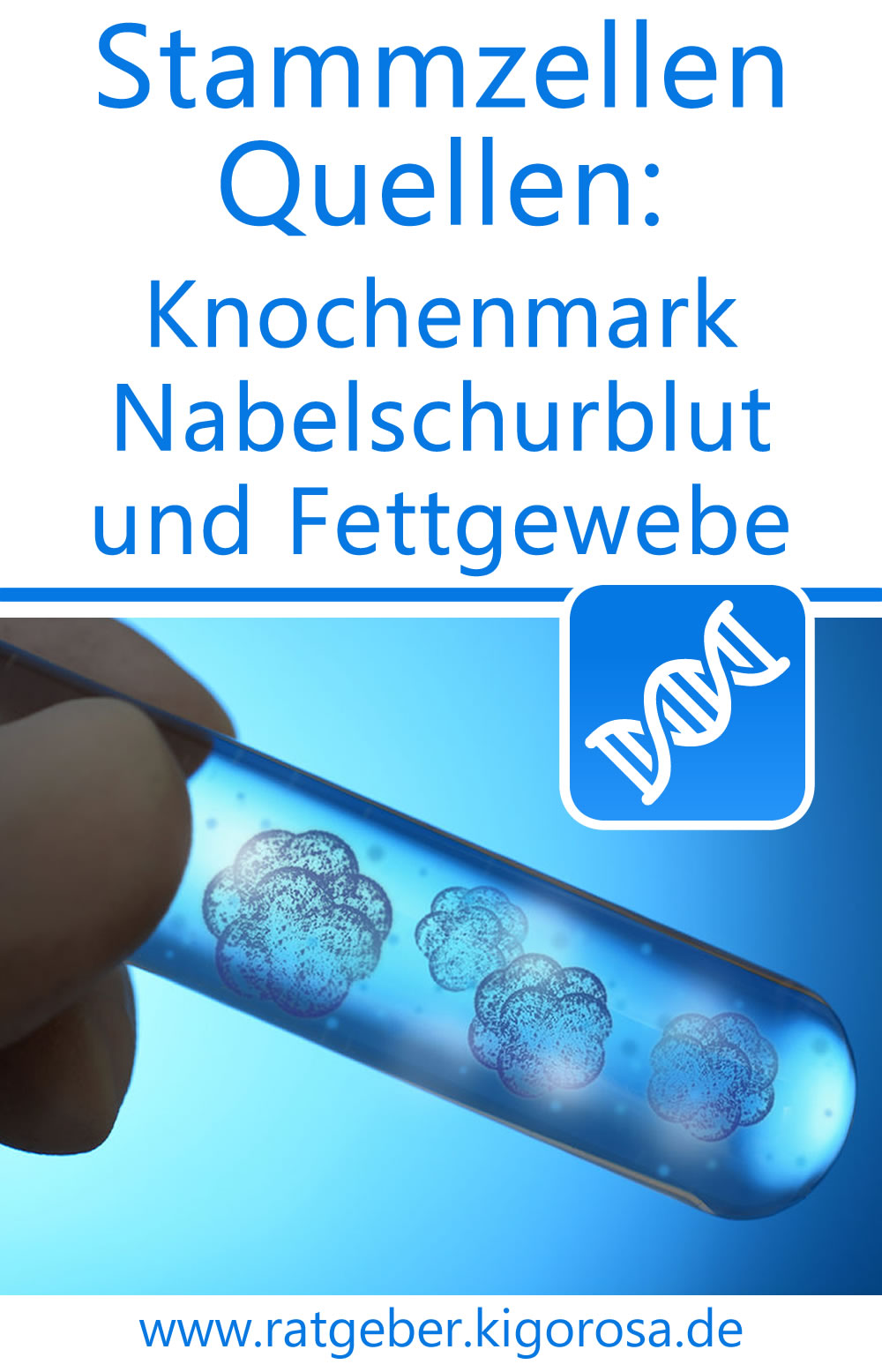 Stammzellen aus Knochenmark, Nabelschurblut oder Fettgewebe